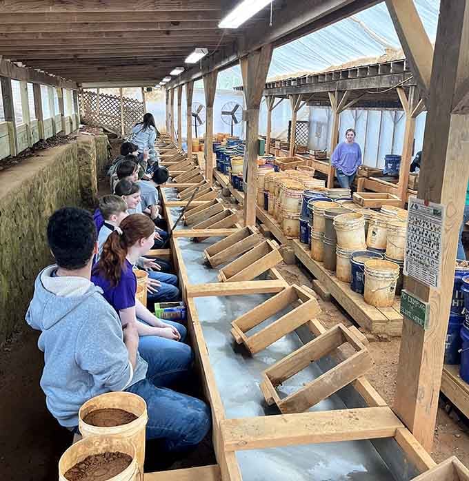 Knee-deep in discovery, visitors work the sluice boxes at Emerald Hollow Mine like seasoned pros.