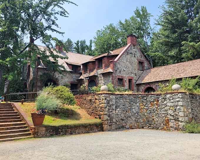 Built from local stone and pure ambition, this estate proves Gold Rush money had excellent taste.