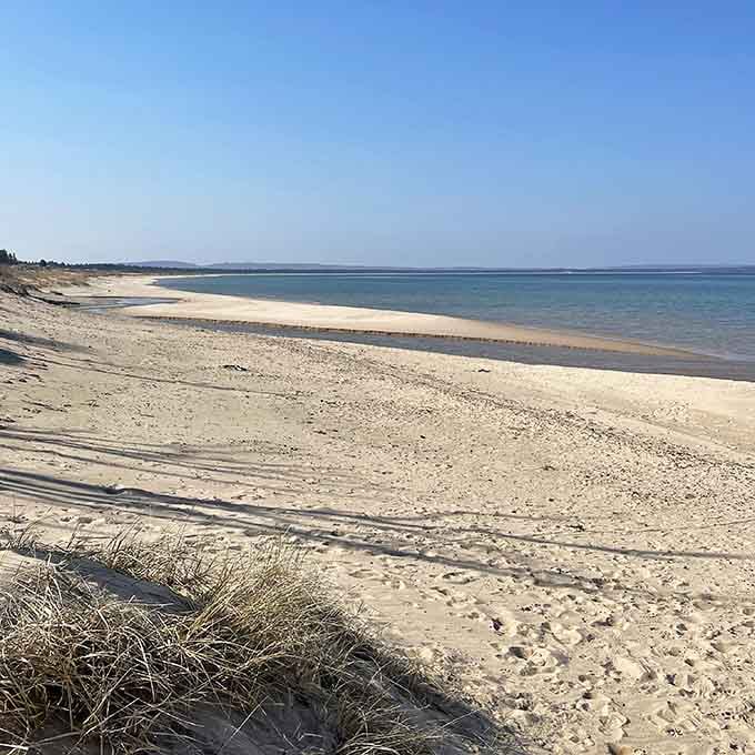 Miles of pale sand stretching out in both directions, proof that Michigan has been holding out on you.
