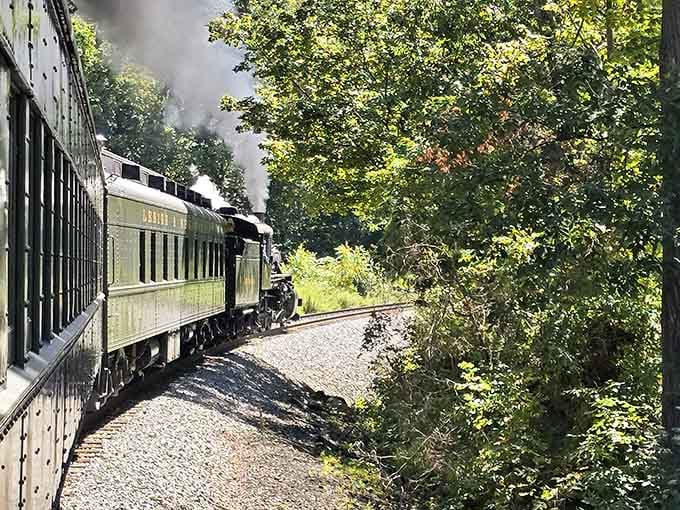 Leaning out the window while a steam train curves through the trees. This is living, folks.