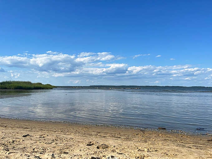 The Chester River stretches out wide and calm, looking like it has absolutely nowhere to be and neither should you.