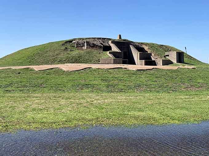 Nature decided to redecorate, and honestly, the grass-covered bunker look is growing on us.