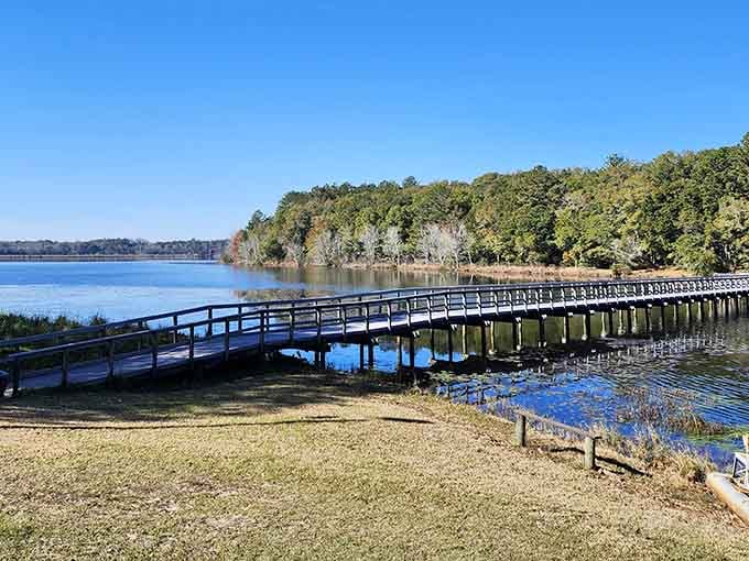 This boardwalk doesn't just cross water, it walks you straight into a feeling you didn't know you needed.