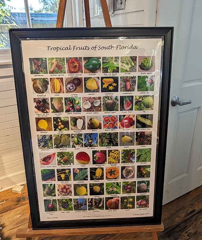 Consider this your edible field guide. South Florida grows more tropical fruit than most people ever dreamed possible.