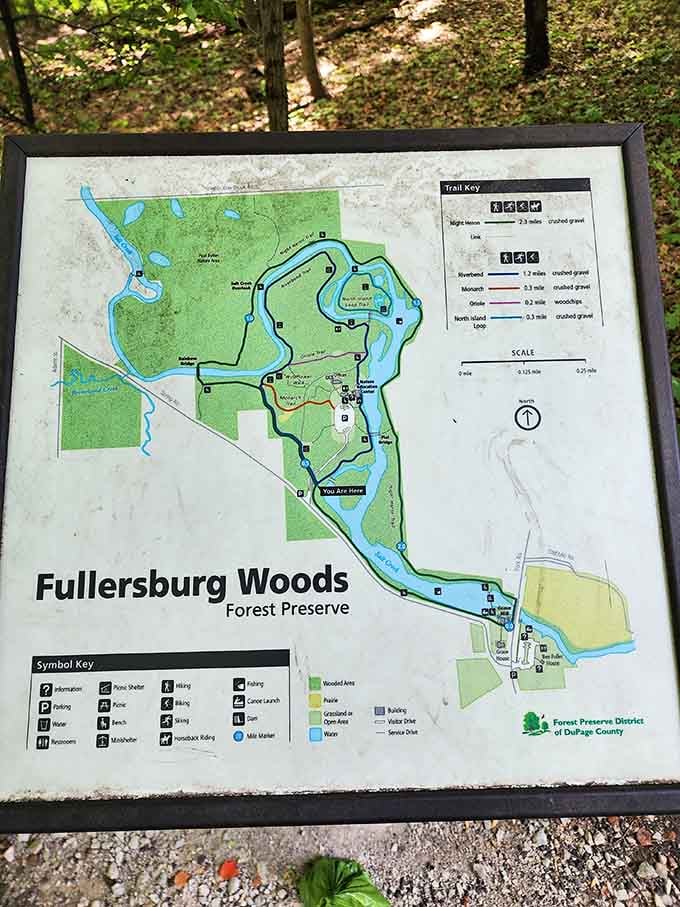This trail map is your treasure guide to deer encounters, scenic loops, and peaceful woodland adventures ahead.