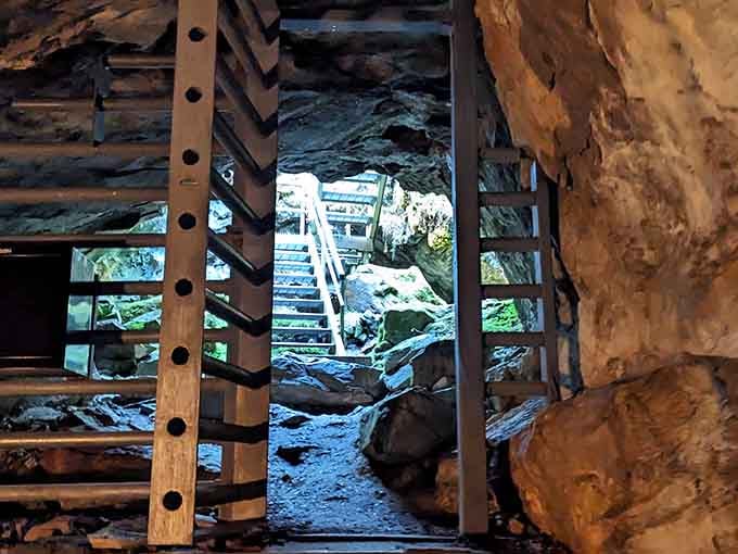 A gated entrance that says "adventure awaits," with just enough mystery to make your heart skip.