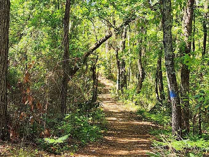 This trail doesn't need a filter, a map app, or a motivational poster to make you want to walk it.