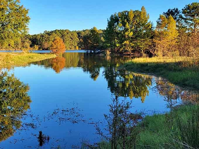 Fall arrived at George T. Bagby and immediately started showing off, doubling its beauty in the mirror-still water below.