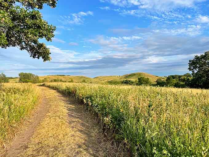 That trail beckons like a path to Narnia, minus the wardrobe but with equally magical discoveries ahead.