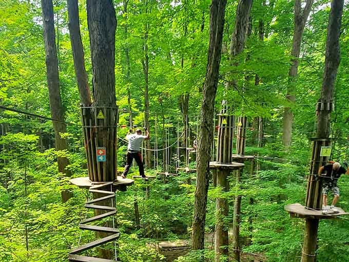 Sunlight filters through the lush green canopy as adventurers navigate platforms scattered among the treetops.