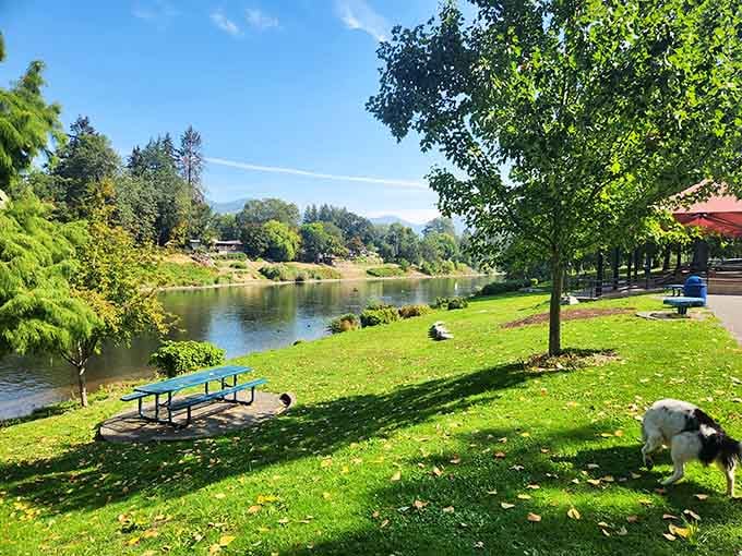 Riverside Park delivers that rare combo: a gorgeous river view and a dog who's absolutely living his best life.