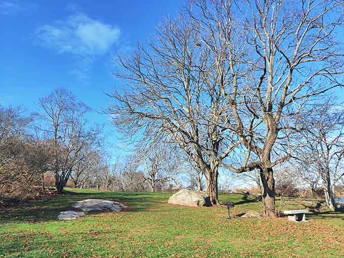 Bare trees, ancient boulders, and a stone bench that practically begs you to sit down and sort out your thoughts.