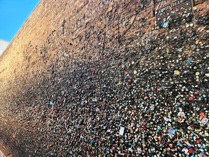 Under a brilliant blue sky, decades of colorful contributions climb the brick wall like the world's most unusual tapestry.