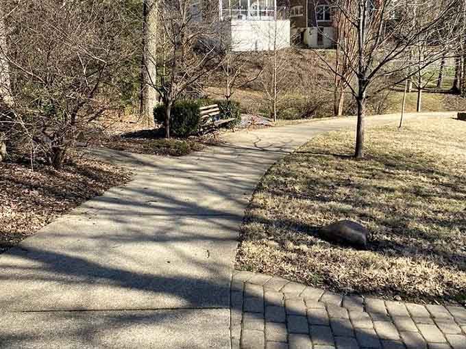 A winding path, a waiting bench, and absolutely nowhere you need to be right now. Perfect.
