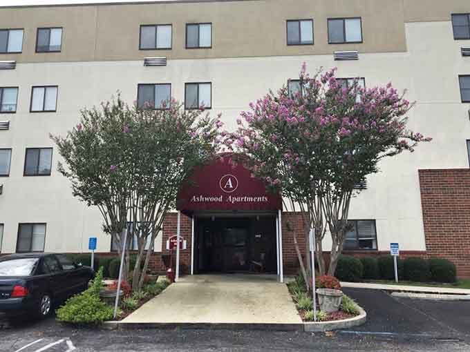 Ashwood Apartments: where crepe myrtles bloom out front and your wallet finally gets to exhale.