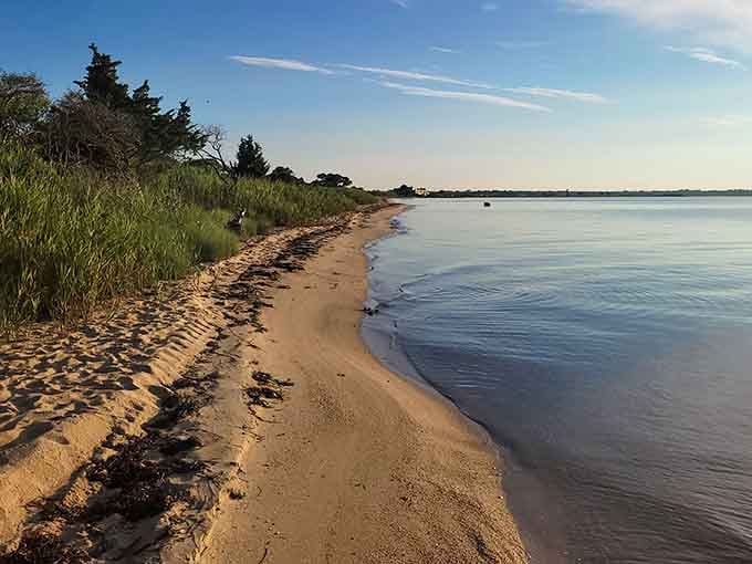 A sandy shoreline this peaceful this close to New York City feels like finding a twenty in an old coat pocket.