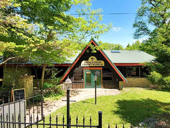 The Little-Known Ohio Nature Preserve That Locals Are Keeping All To ...