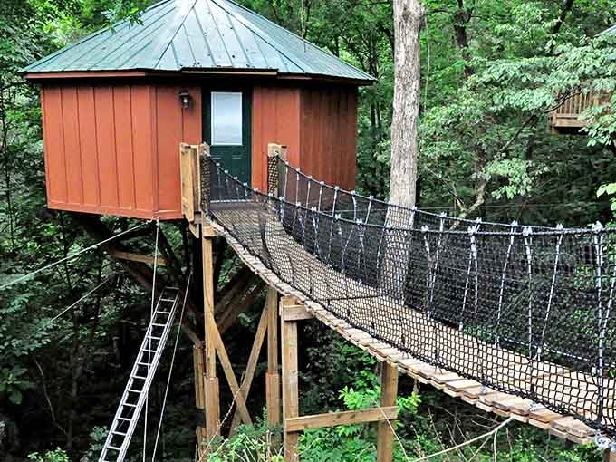 This elevated escape proves that the best rooms always come with a side of adventure and vertigo.