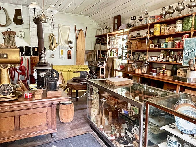 Every tin, tool, and trinket on these shelves once belonged to someone's everyday life.