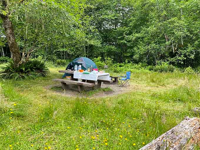 A picnic table, a teal tent, and wildflowers dotting the grass &mdash; somebody figured out the perfect weekend.