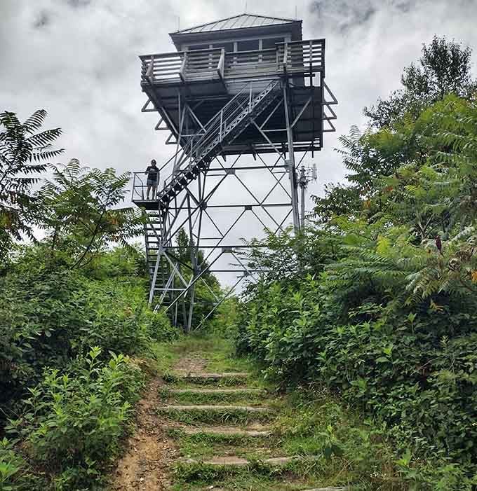 The Rich Mountain Fire Tower rewards every hard-earned step with views that make the climb completely worth it.