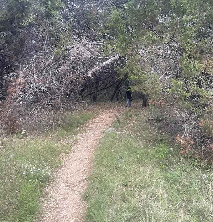 The trail ahead looks inviting, and yes, those trees are absolutely showing off on purpose.