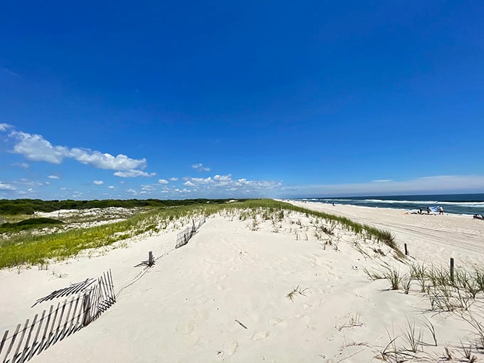 These protected dunes are nature's architecture at its finest, sculpted by wind and time into perfection.
