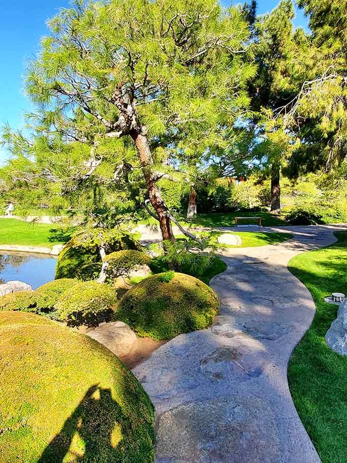This winding stone path through moss-covered boulders is basically nature's version of a first-class upgrade.