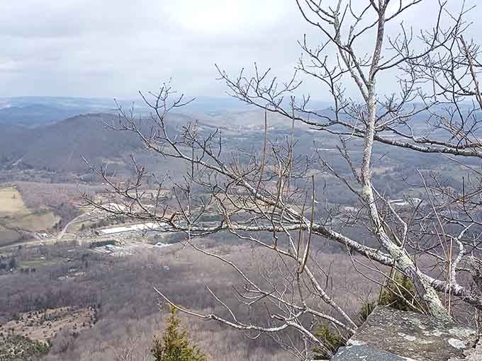 Bare branches and big views, proof that winter up here has its own kind of poetry.