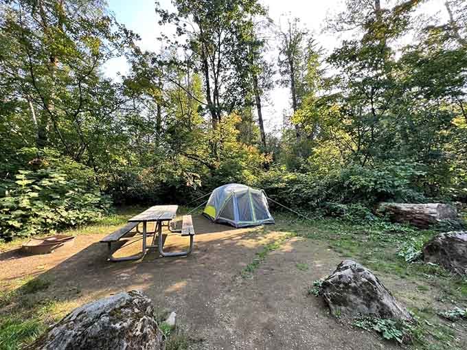 A campsite tucked among the trees, proof that the best bedroom views don't require a mortgage.