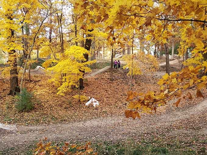 Fall foliage turns the bike park into a golden wonderland that no Instagram filter could ever improve.