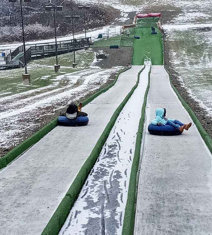 Snow on the ground only makes the ride faster, the cheeks redder, and the smiles absolutely unavoidable.