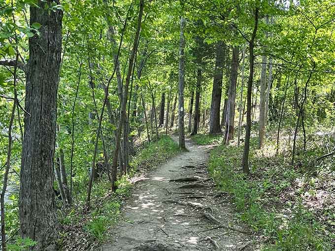 A lakeside trail so peaceful and green, you'll forget your phone exists, and honestly, good riddance.