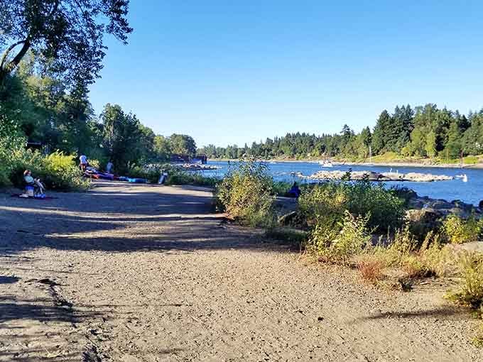 George Rogers Park on a sunny day is basically nature's way of saying, "Sit down and relax for once."