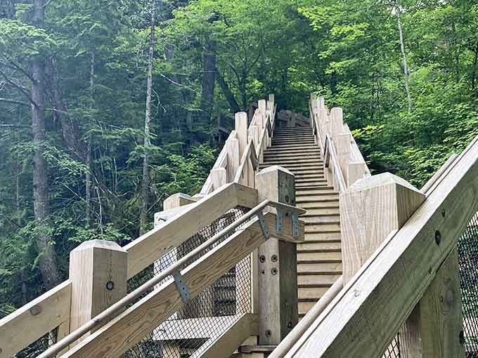 These sturdy stairs descend into the gorge like a stairway to a very wet, very wonderful heaven.