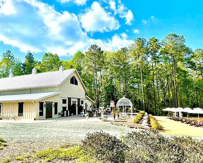 The barn stands ready to welcome visitors into a world where lavender reigns supreme.