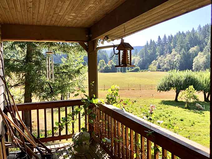 A porch view so peaceful it could make a workaholic forget what a spreadsheet is.