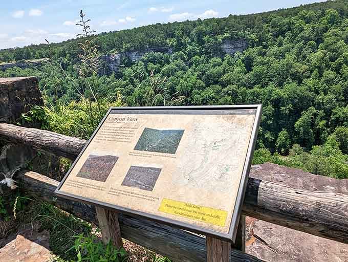 This interpretive sign tries to explain the canyon's geology, but some things are simply better felt than explained.