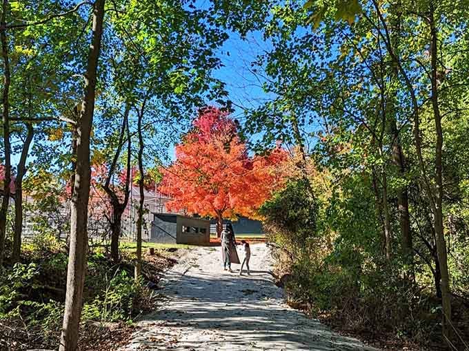 Fall foliage so vivid in Madison that even your phone camera feels like a professional photographer today.