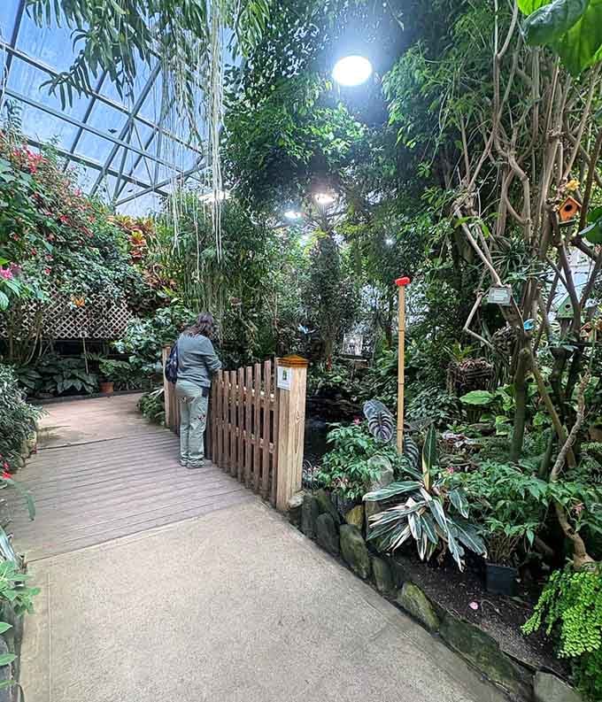 Winding paths invite slow exploration through dense foliage where butterflies hide like living Easter eggs.