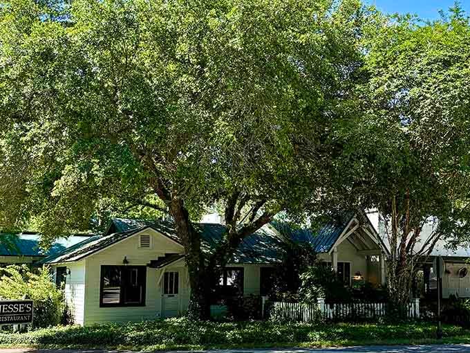 Jesse's Restaurant hides behind giant oaks like the best-kept secret in all of coastal Alabama.