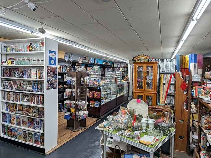 VHS tapes, collectibles, glassware, and more, proof that one building can hold an entire universe.