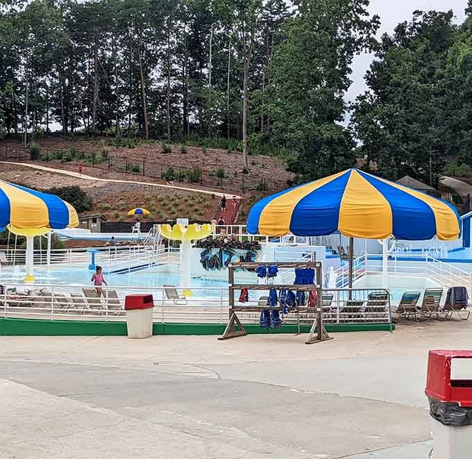 Blue and yellow umbrellas standing at attention like cheerful sentinels over the happiest pool in Georgia.