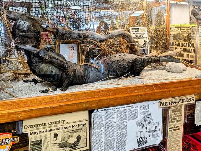 Half-human, half-alligator, and completely unforgettable. Jake's display case is surrounded by yellowed newspaper clippings that only add to the mystery.