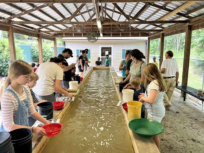 Heritage Gold Mine Park offers hands-on panning experiences that turn kids into prospectors faster than you can say "Eureka!"