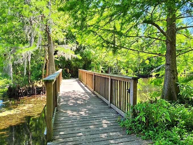 Spanish moss, still water, and wooden planks. Florida's version of a five-star welcome mat.