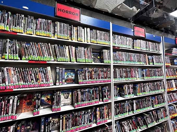 Floor-to-ceiling horror titles that would make even the bravest streaming algorithm weep with inadequacy and shame.