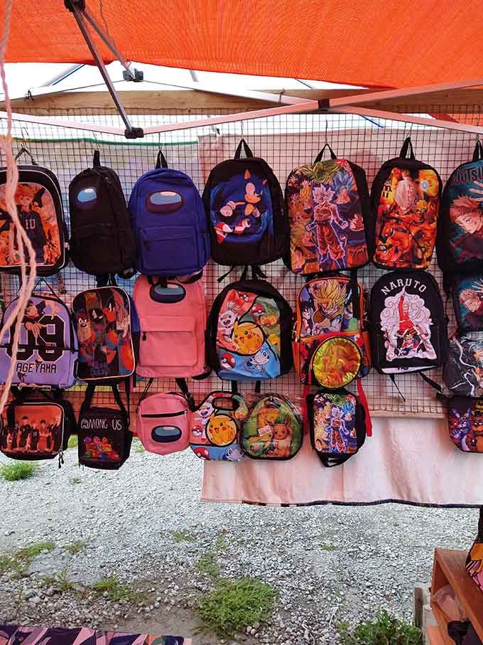 Naruto, Pokemon, and Dragon Ball Z hanging side by side, proof that great taste has no age limit.