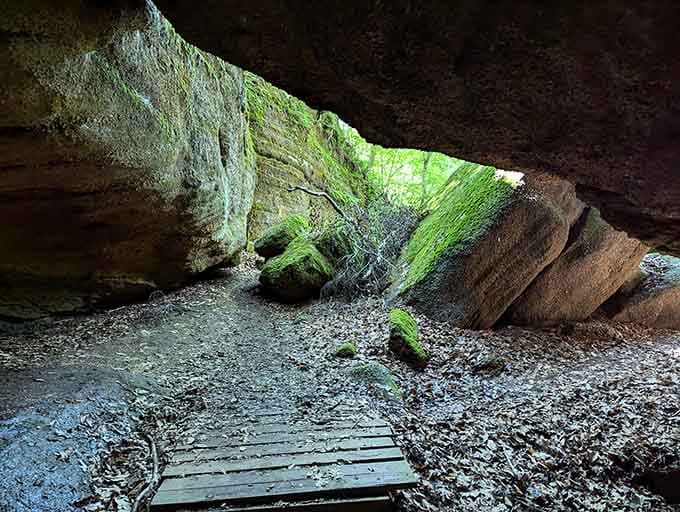 Step inside this natural rock shelter and suddenly every camping trip you've ever taken feels wildly inadequate.