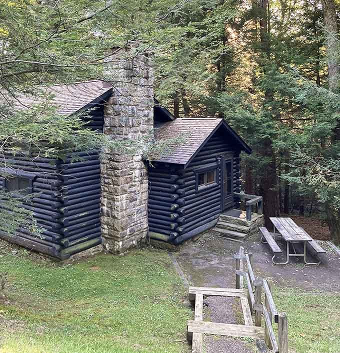 These historic log cabins offer rustic charm without the pioneer-era lack of indoor plumbing, thankfully.
